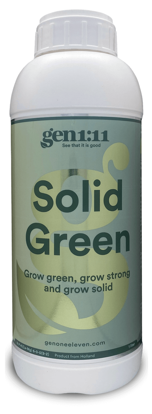 Solid Green - Genoneeleven